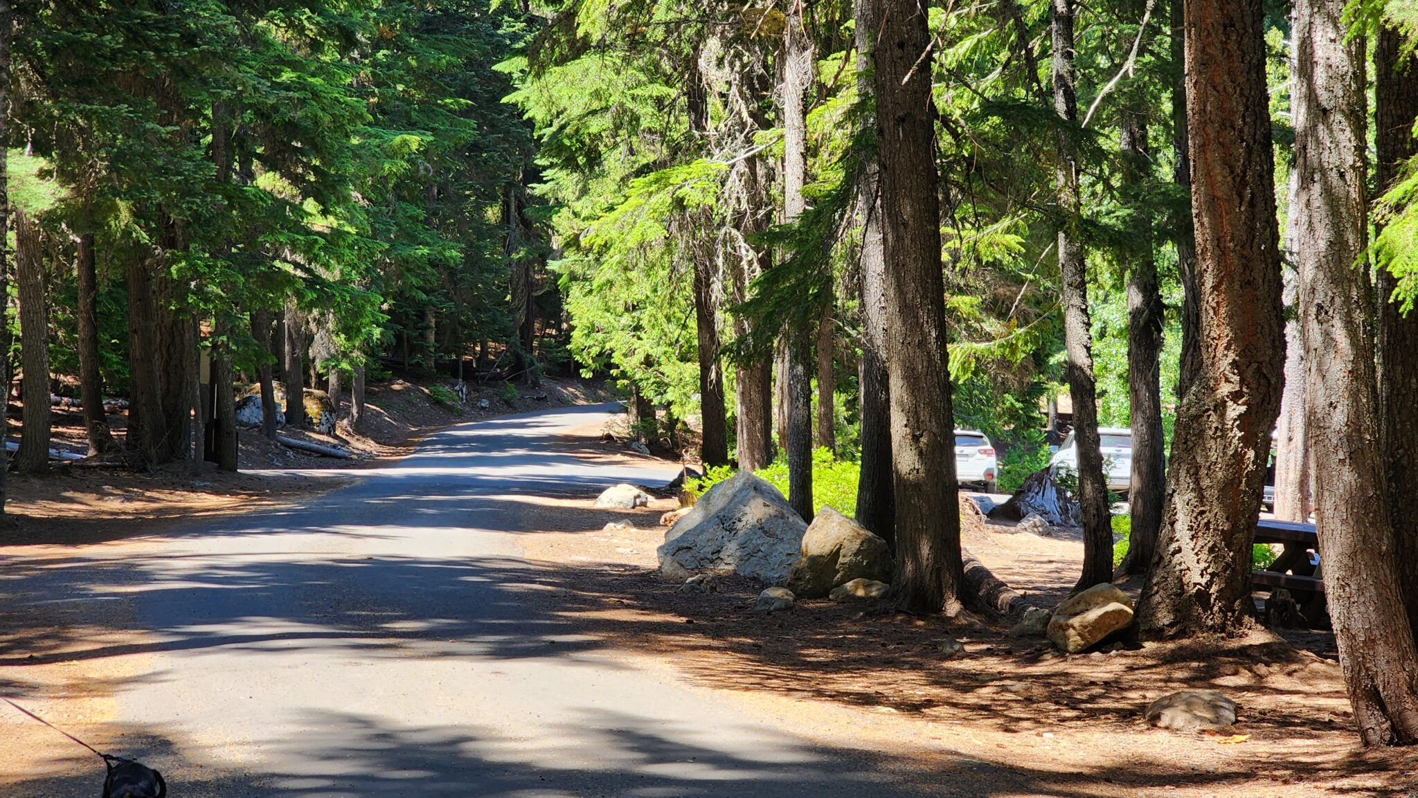 Frog Lake: What you need to know - mthoodliving